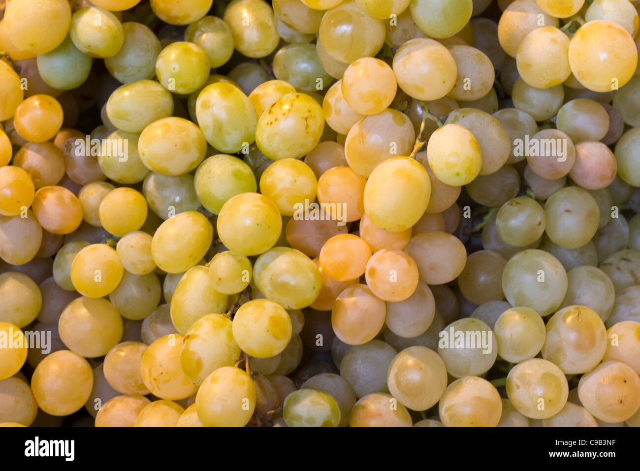 A box of fresh spanish grapes on a market in Madrid Stock Photo - Alamy