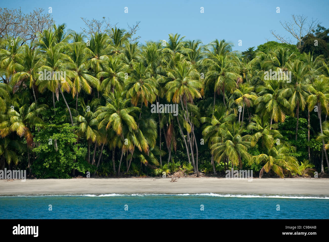 Beach coast panama hi-res stock photography and images - Alamy