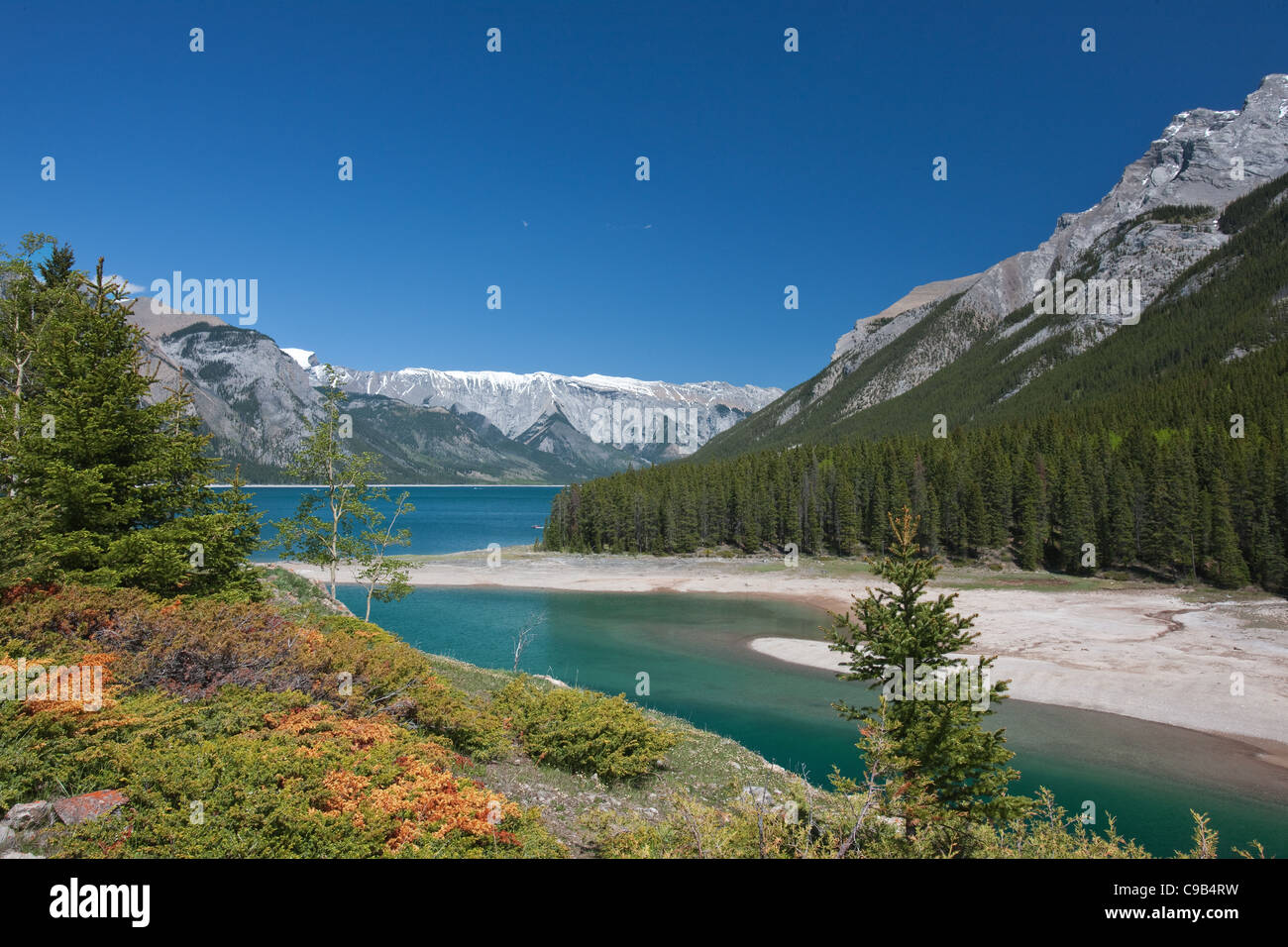 The Colors of Autumn Stock Photo - Alamy