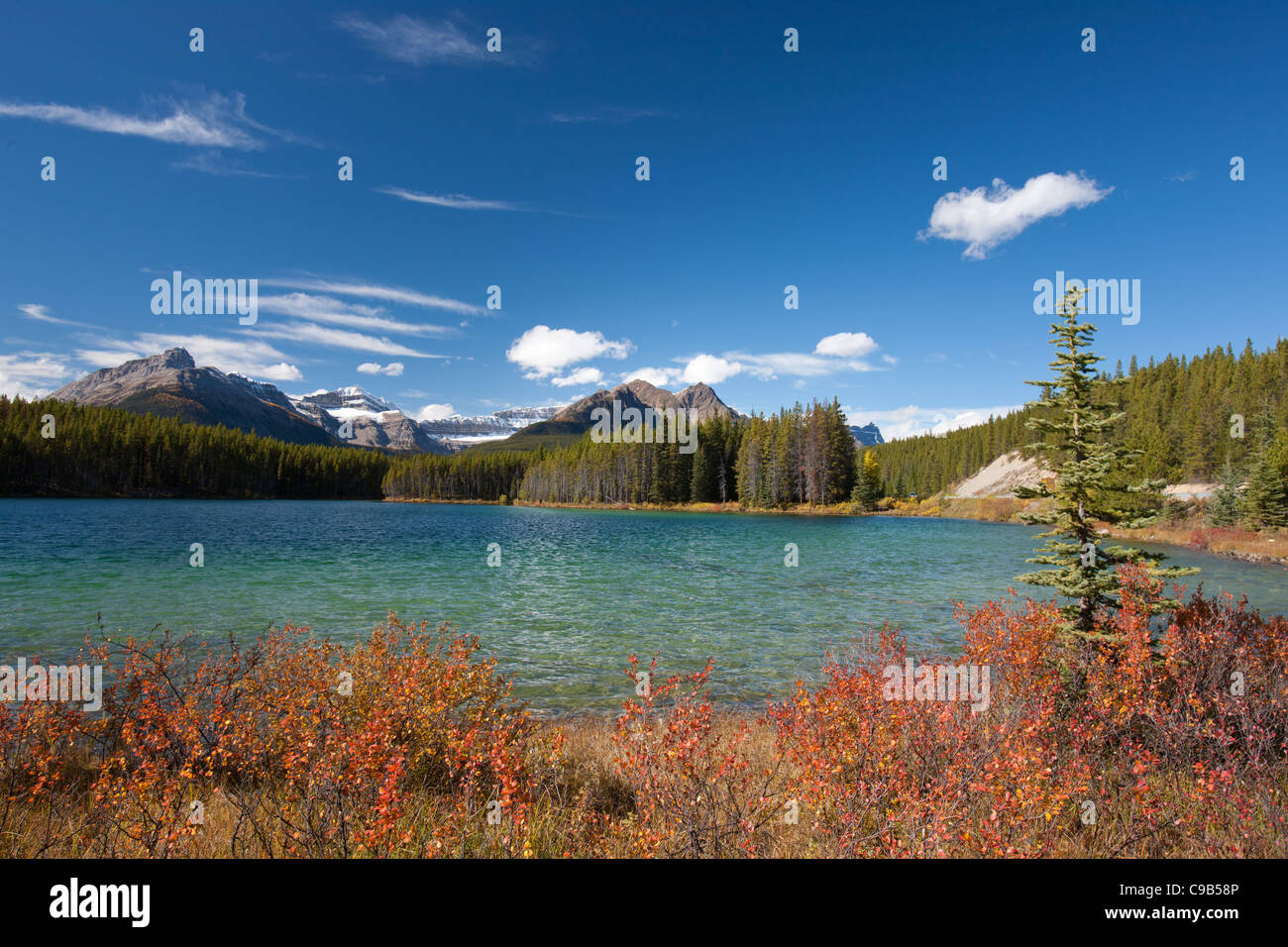 The Colors of Autumn Stock Photo - Alamy