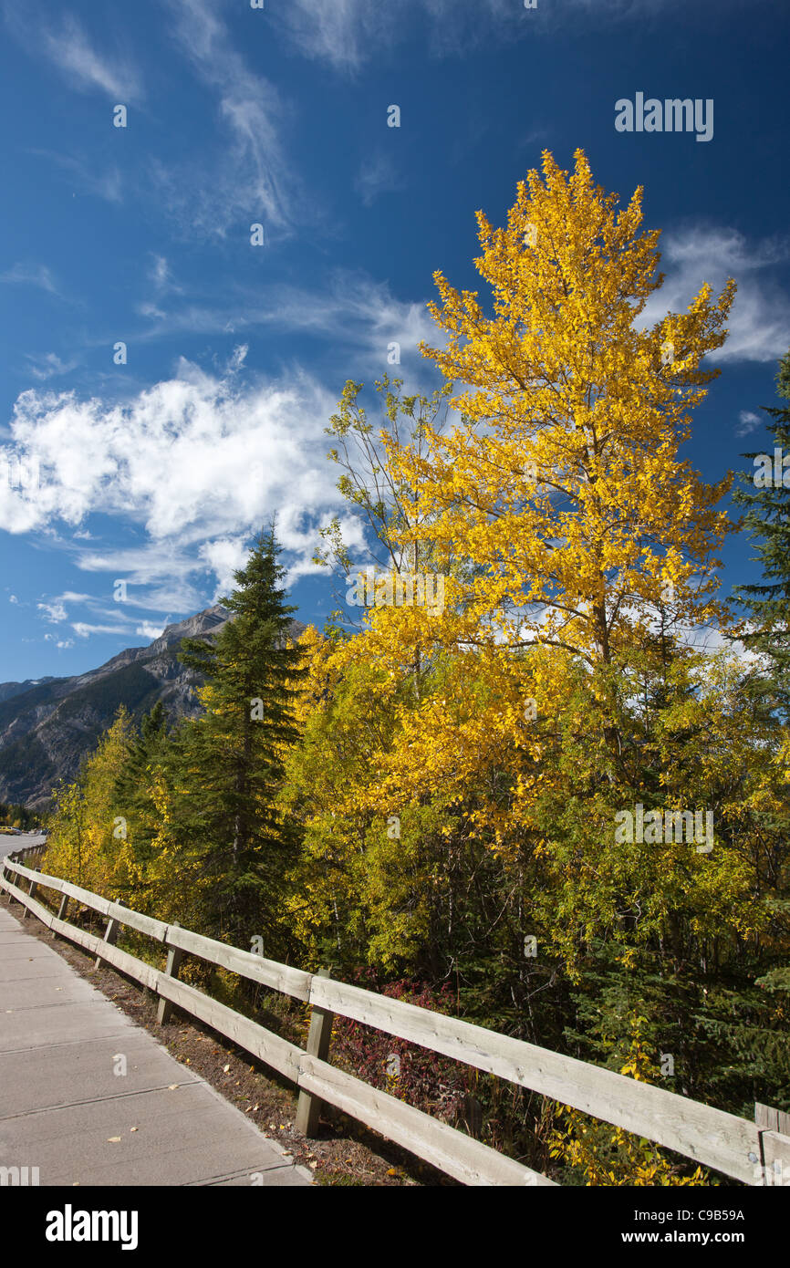 The Colors of Autumn Stock Photo - Alamy