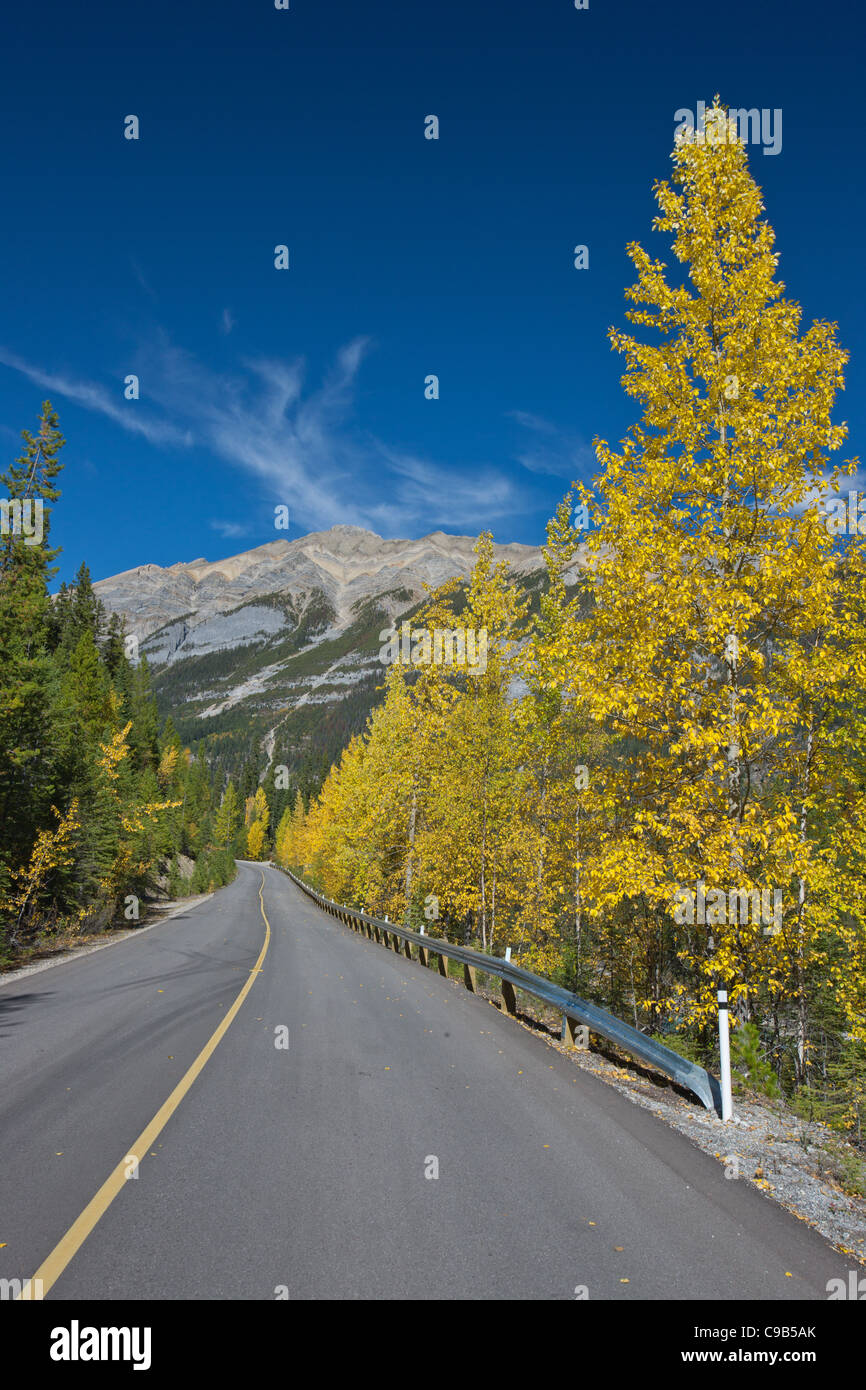 The Colors of Autumn Stock Photo - Alamy