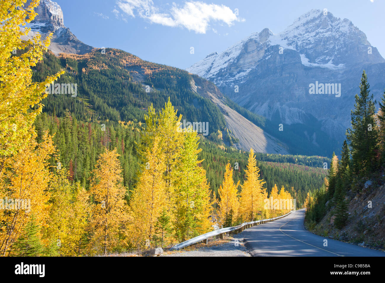 The Colors of Autumn Stock Photo - Alamy