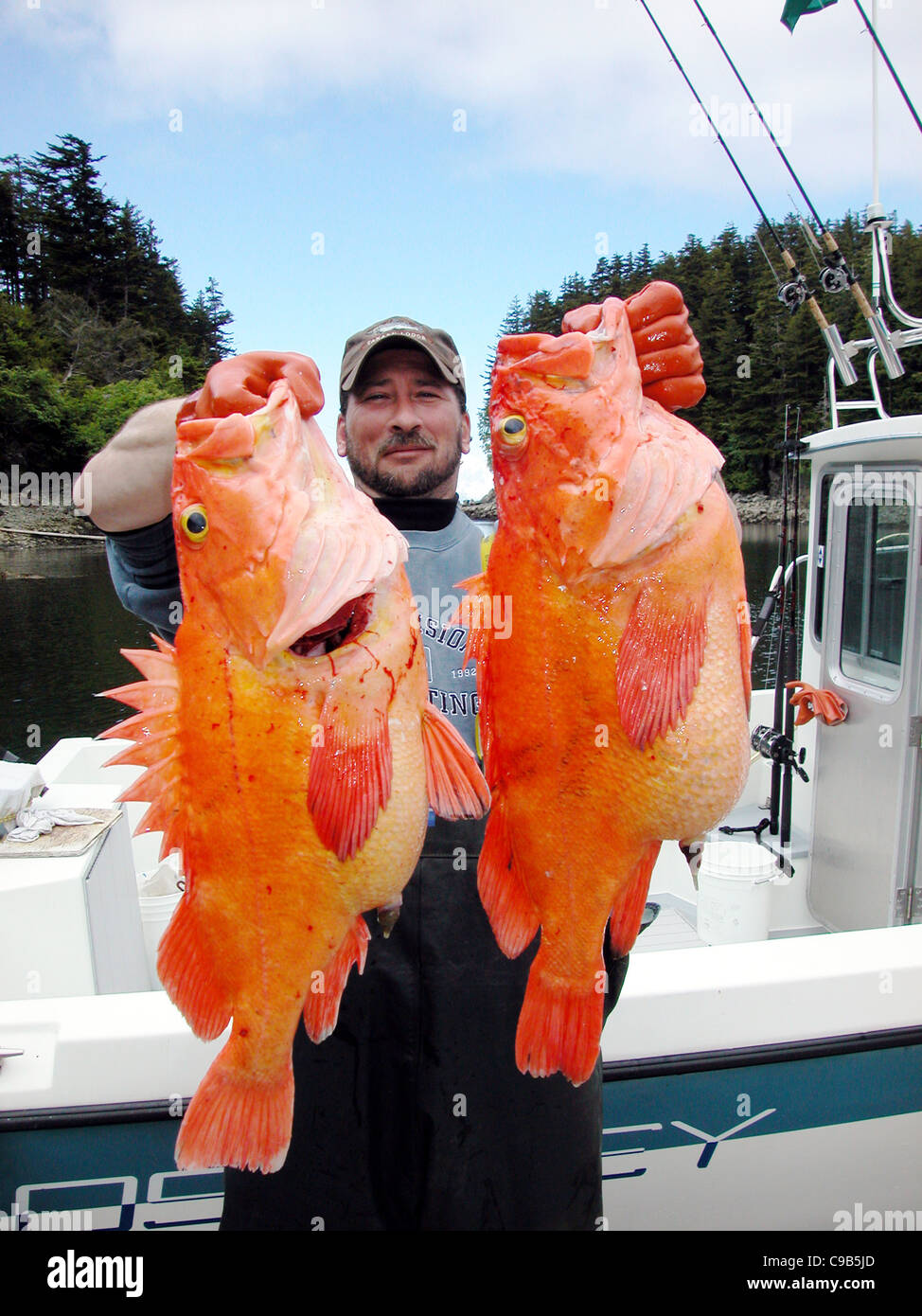 Yelloweye Rockfish Record