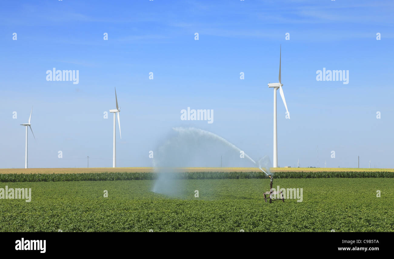 Image of wind turbines and water sprinkler in a green field Stock Photo ...