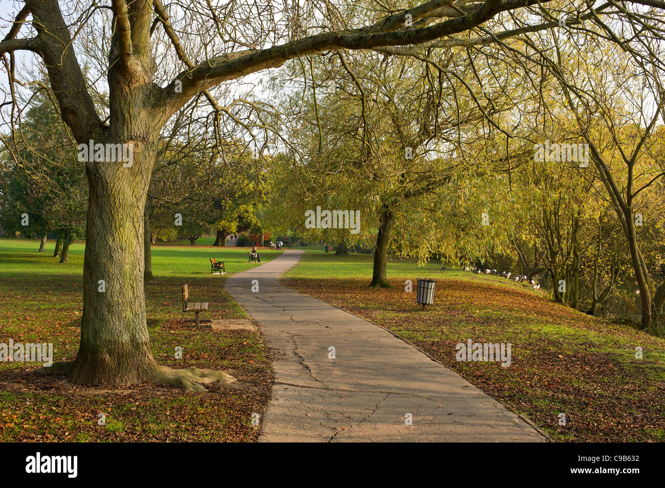 A path running through Lake Meadows in Billericay Stock Photo - Alamy