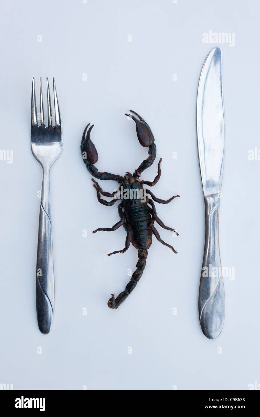 Cooked Scorpion on White Plate with knife and fork Stock Photo - Alamy