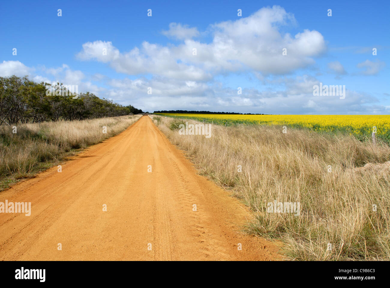 red dirt track, off South Coast Highway, near Ravensthorpe, Western ...