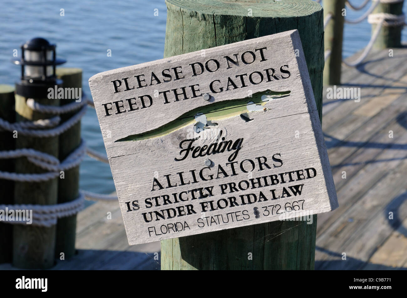 Warning sign do not feed the Gators in Florida USA Stock Photo - Alamy