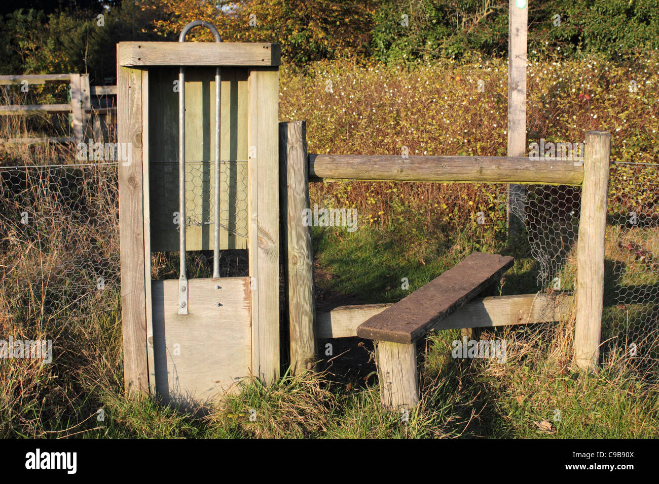 Dog stile hi-res stock photography and images - Alamy