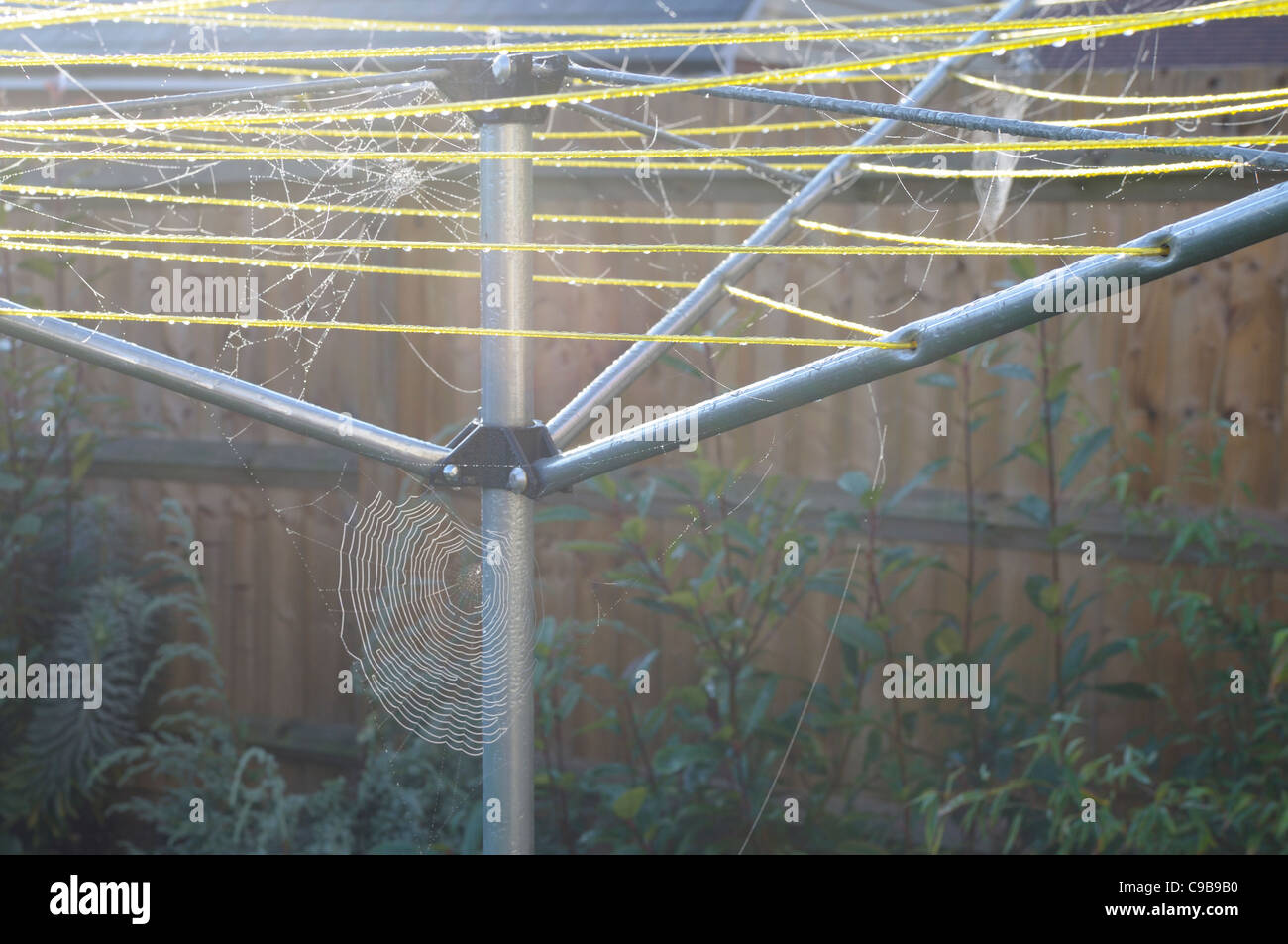 Cobwebs caught by the early morning sunlight on an empty washing line ...