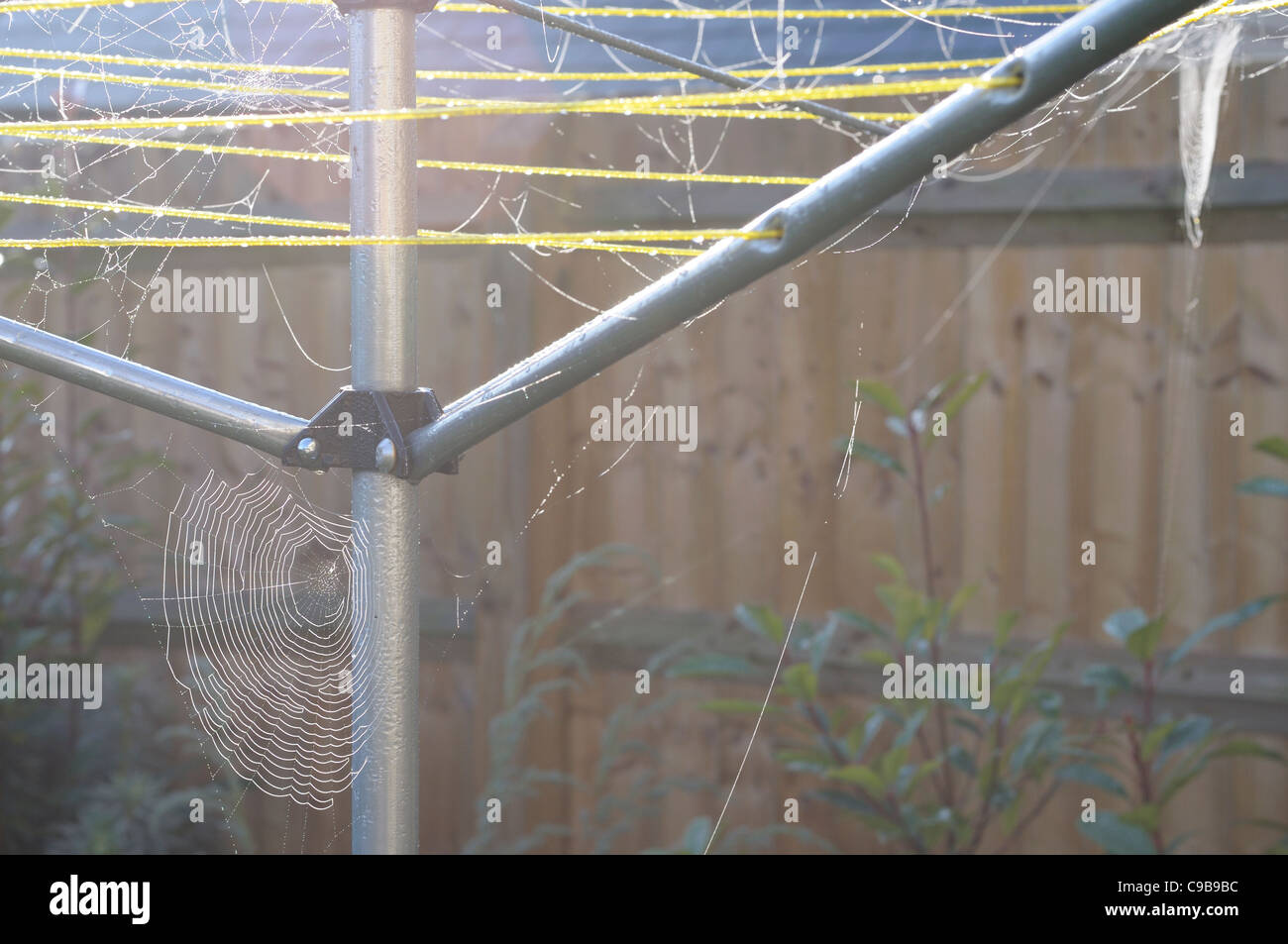 Empty washing line hi-res stock photography and images - Alamy