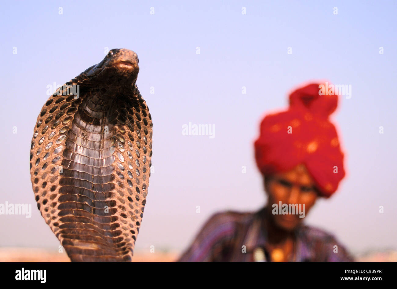 Snake charmer ( India Stock Photo - Alamy