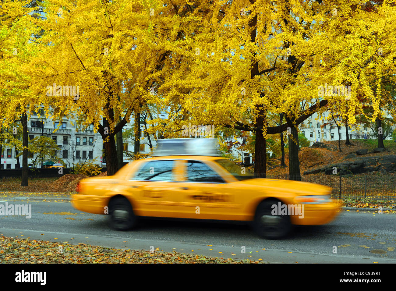New york yellow cab hi-res stock photography and images - Alamy