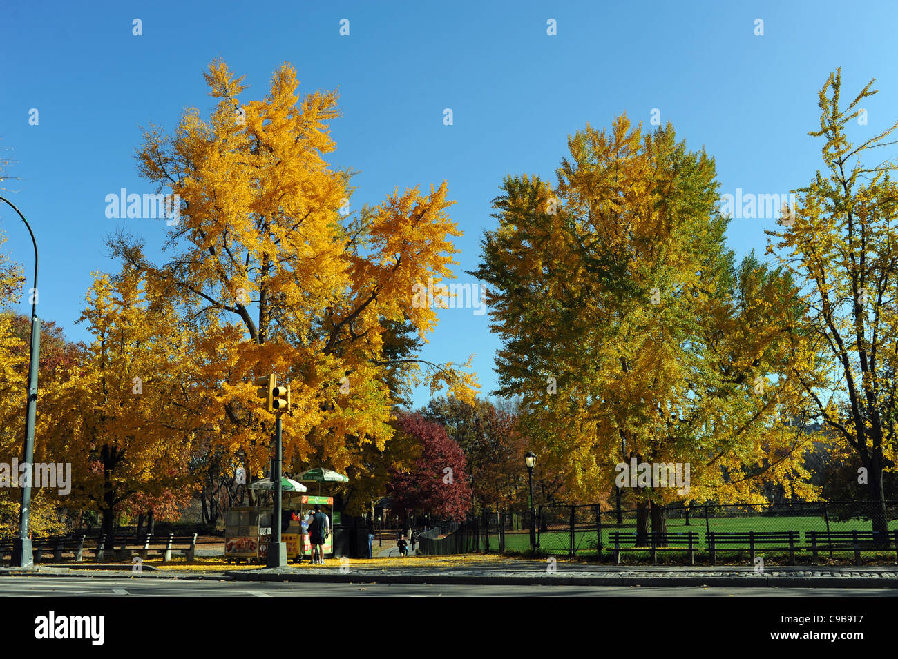 Autumn colours as the leaves change colour for the fall in Central Park ...