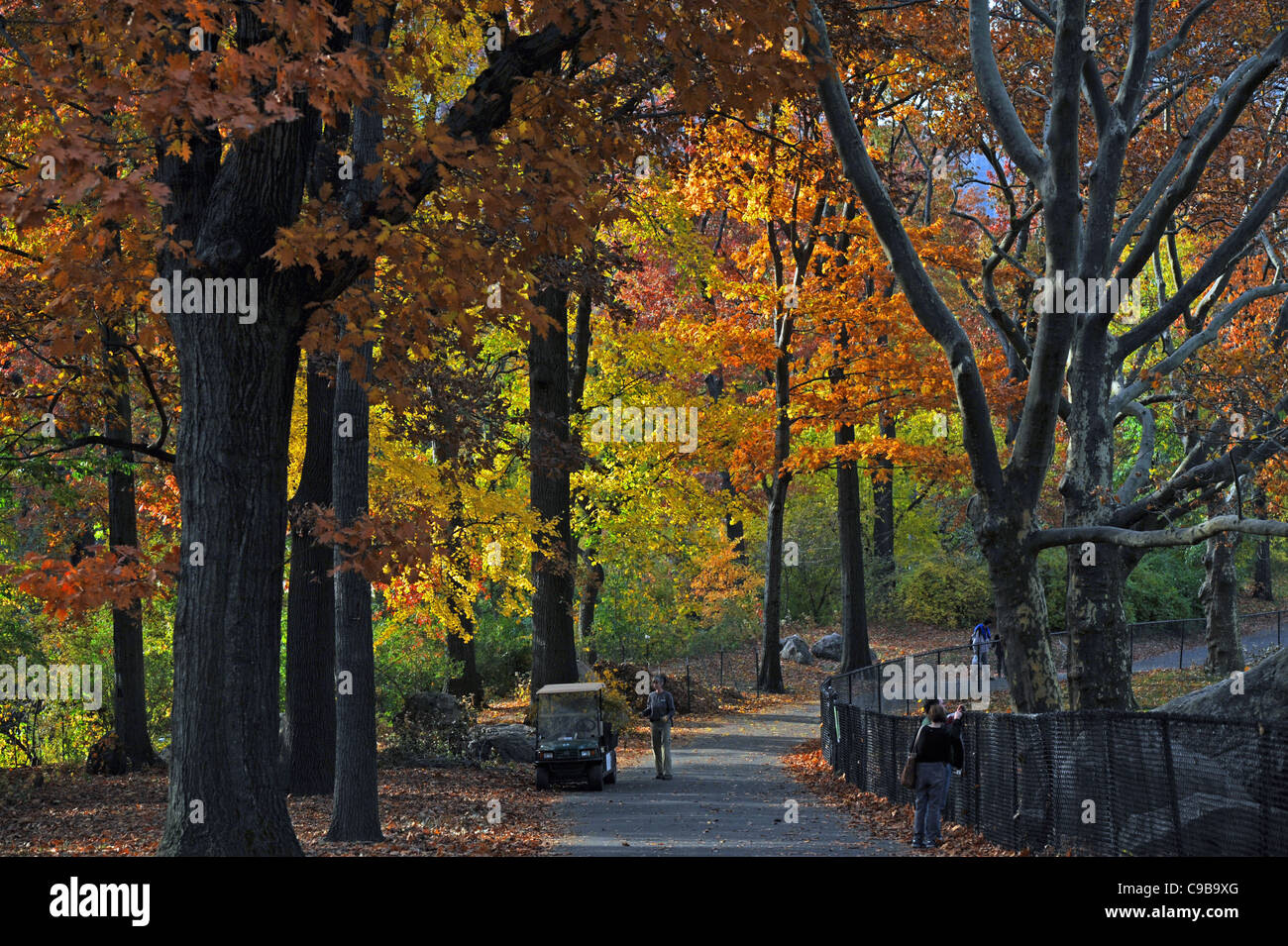 Autumn colours as the leaves change colour for the fall in Central Park ...
