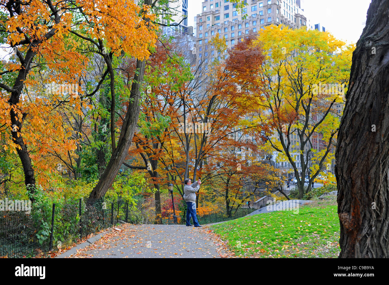 Autumn colours as the leaves change colour for the fall in Central Park ...