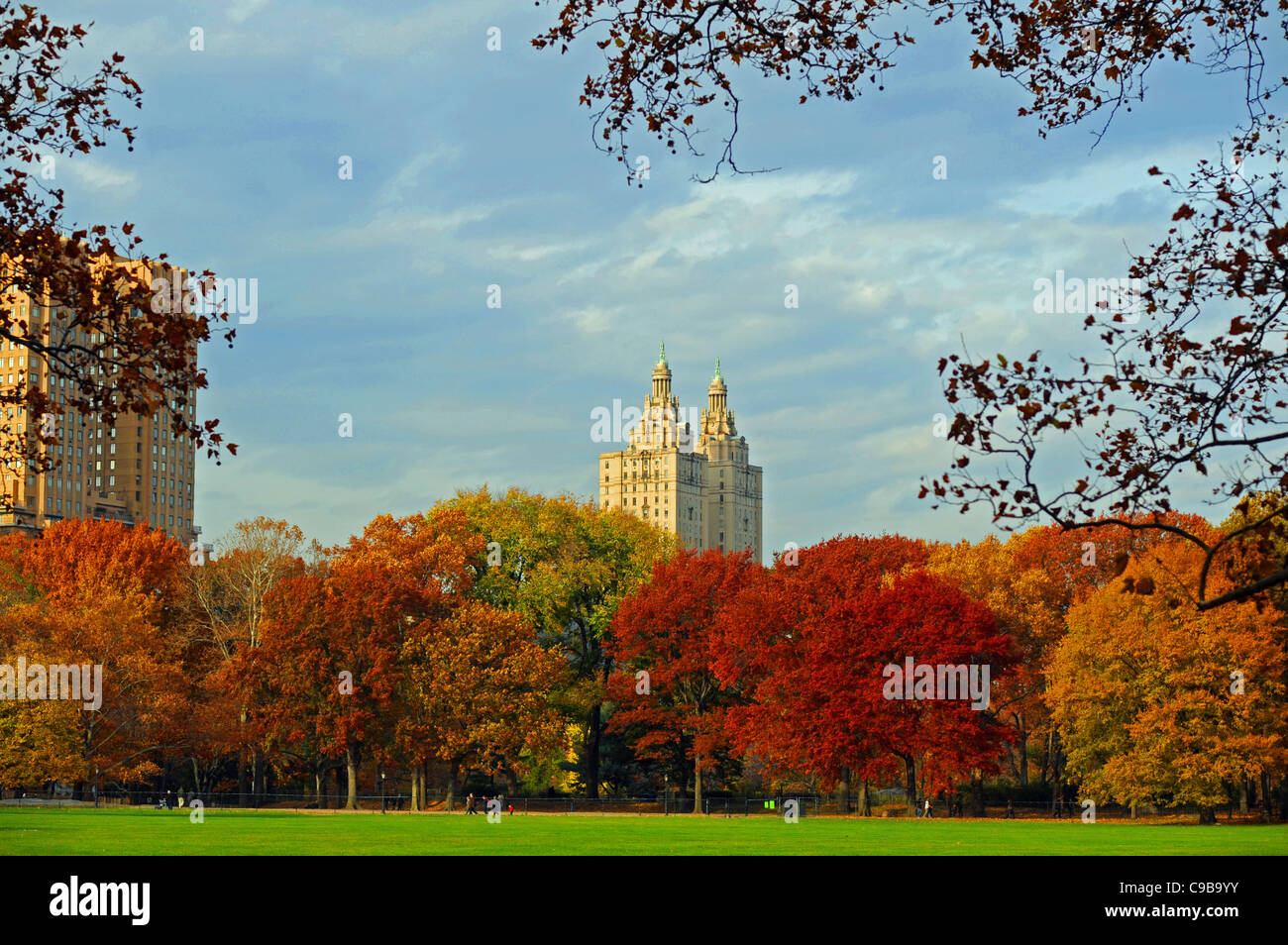 Autumn colours as the leaves change colour for the fall in Central Park ...