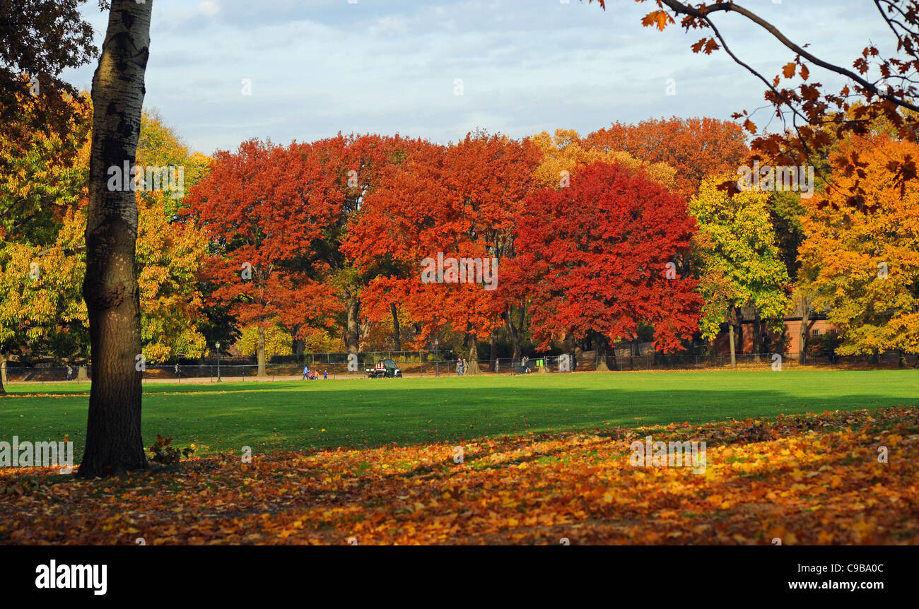 Autumn colours as the leaves change colour for the fall in Central Park ...