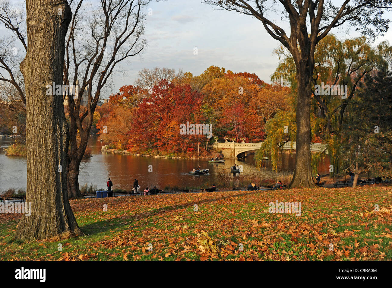 Autumn colours as the leaves change colour for the fall in Central Park ...