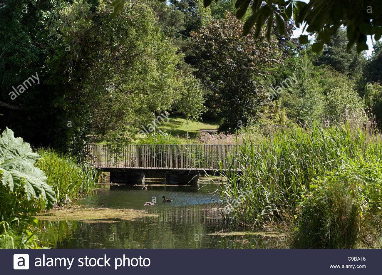 Harlow Town Park Stock Photos & Harlow Town Park Stock Images - Alamy