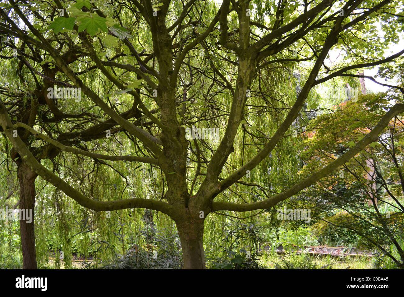 Arboretum park nottingham hi-res stock photography and images - Alamy