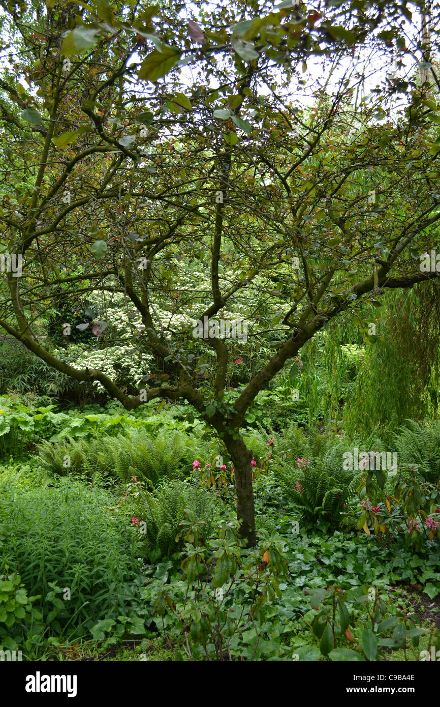 Arboretum park nottingham hi-res stock photography and images - Alamy