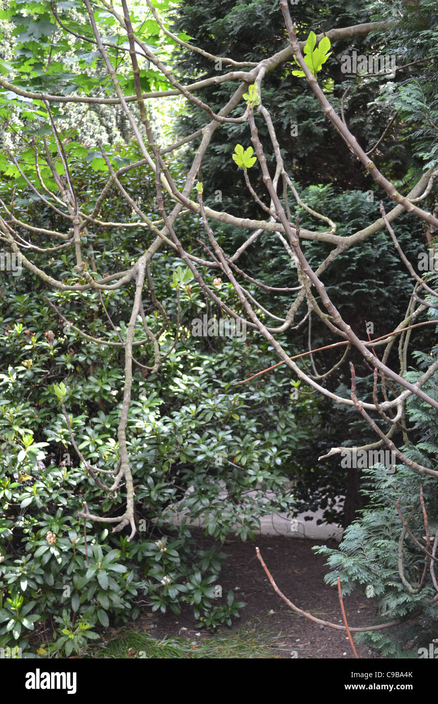 Arboretum park nottingham hi-res stock photography and images - Alamy