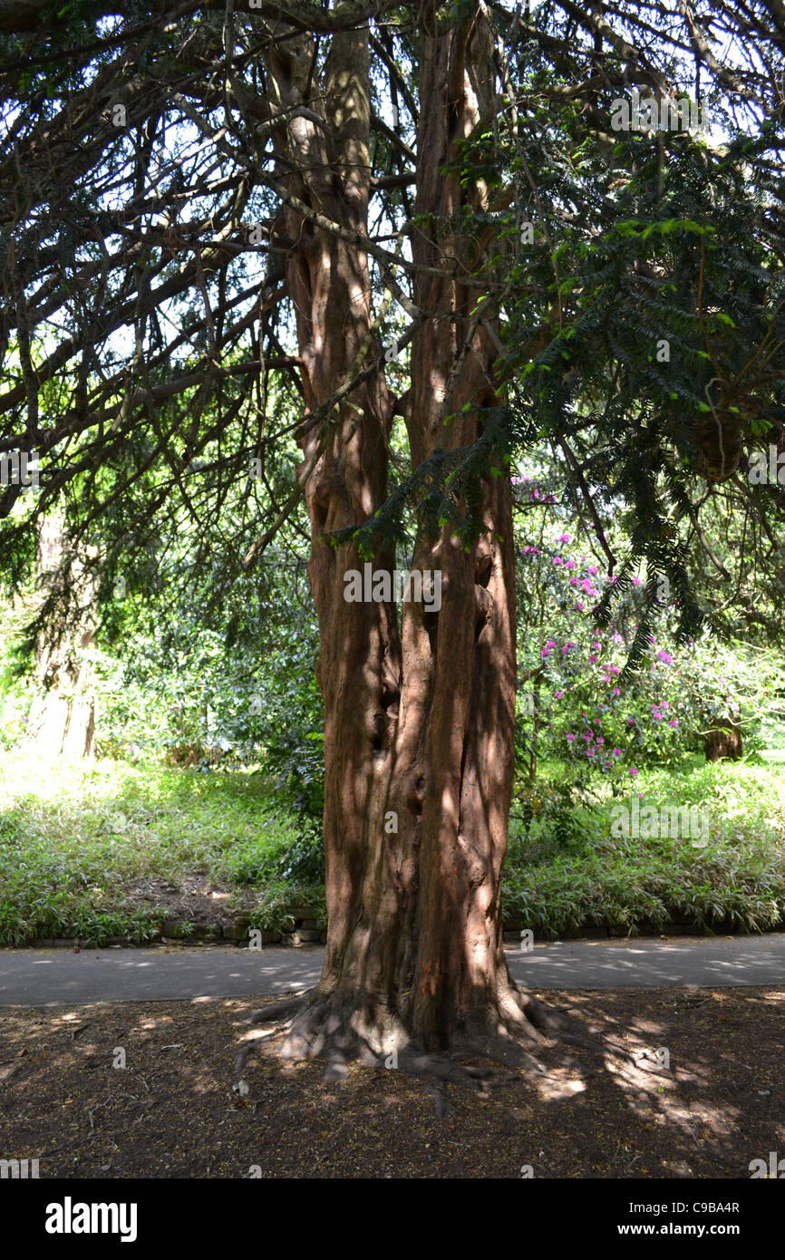 Arboretum park nottingham hi-res stock photography and images - Alamy