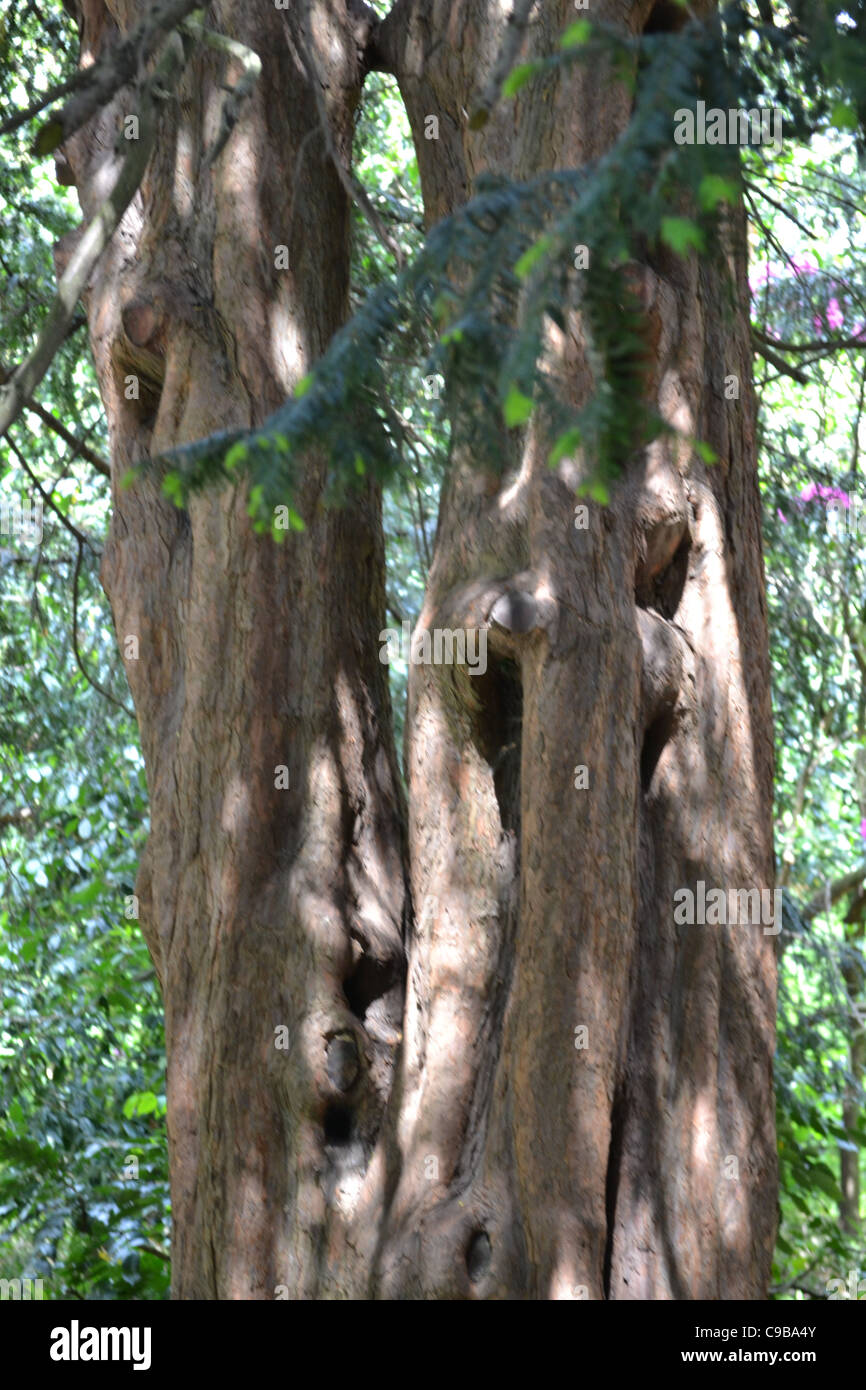 Arboretum park nottingham hi-res stock photography and images - Alamy