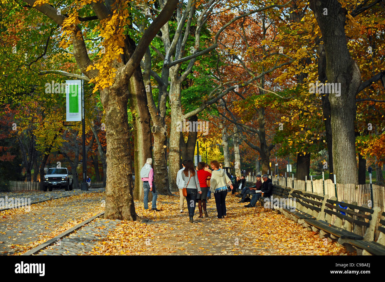 Autumn colours as the leaves change colour for the fall in Central Park ...