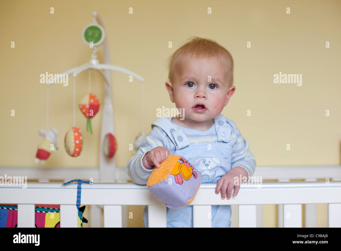 11 month baby boy in cot. Photo:Jeff Gilbert Stock Photo - Alamy