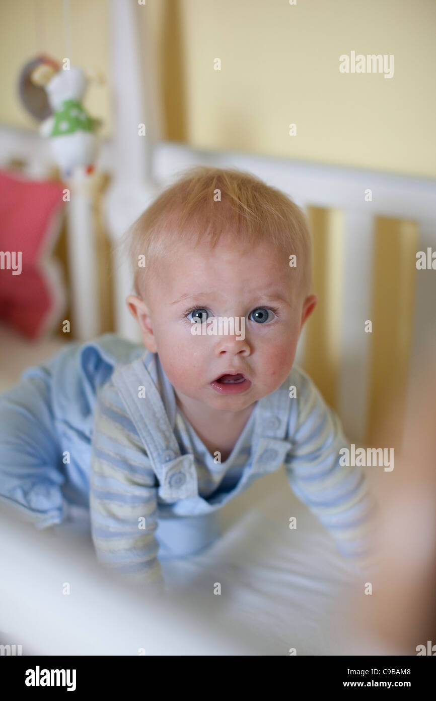 11 month baby boy in cot. Photo:Jeff Gilbert Stock Photo - Alamy