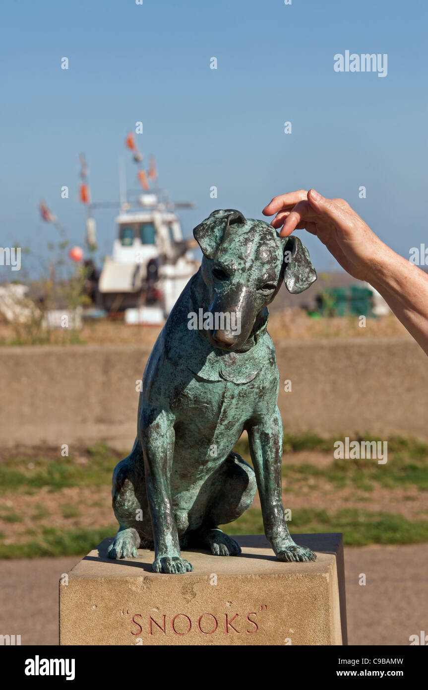 Snooks the dog hi-res stock photography and images - Alamy