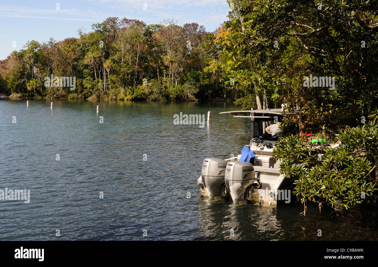 Tourists boating on the Homosassa River Florida USA Stock Photo - Alamy