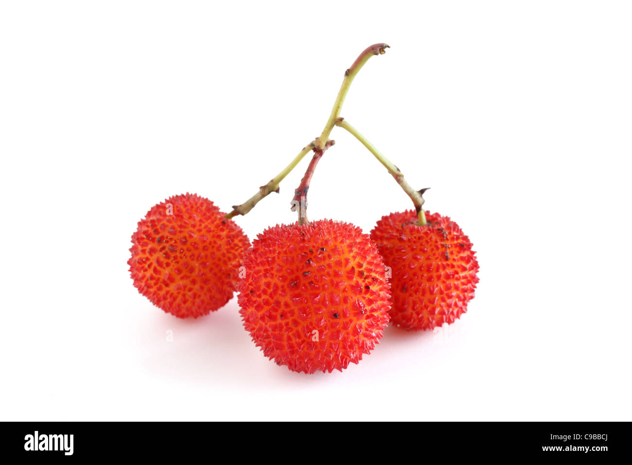 three ripe arbutus fruits over white background Stock Photo - Alamy