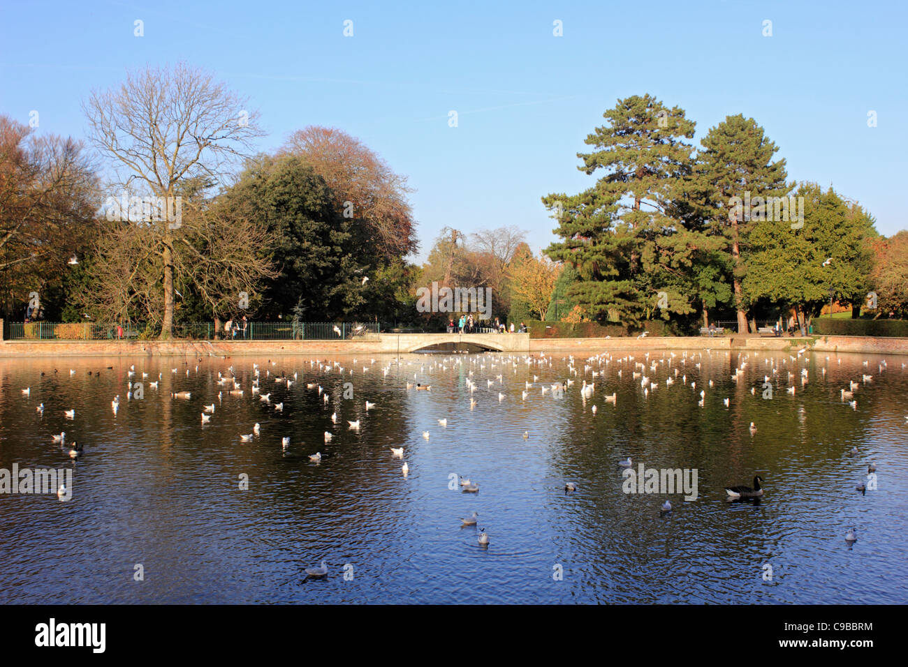 Carshalton Ponds Sutton South London England UK Stock Photo - Alamy