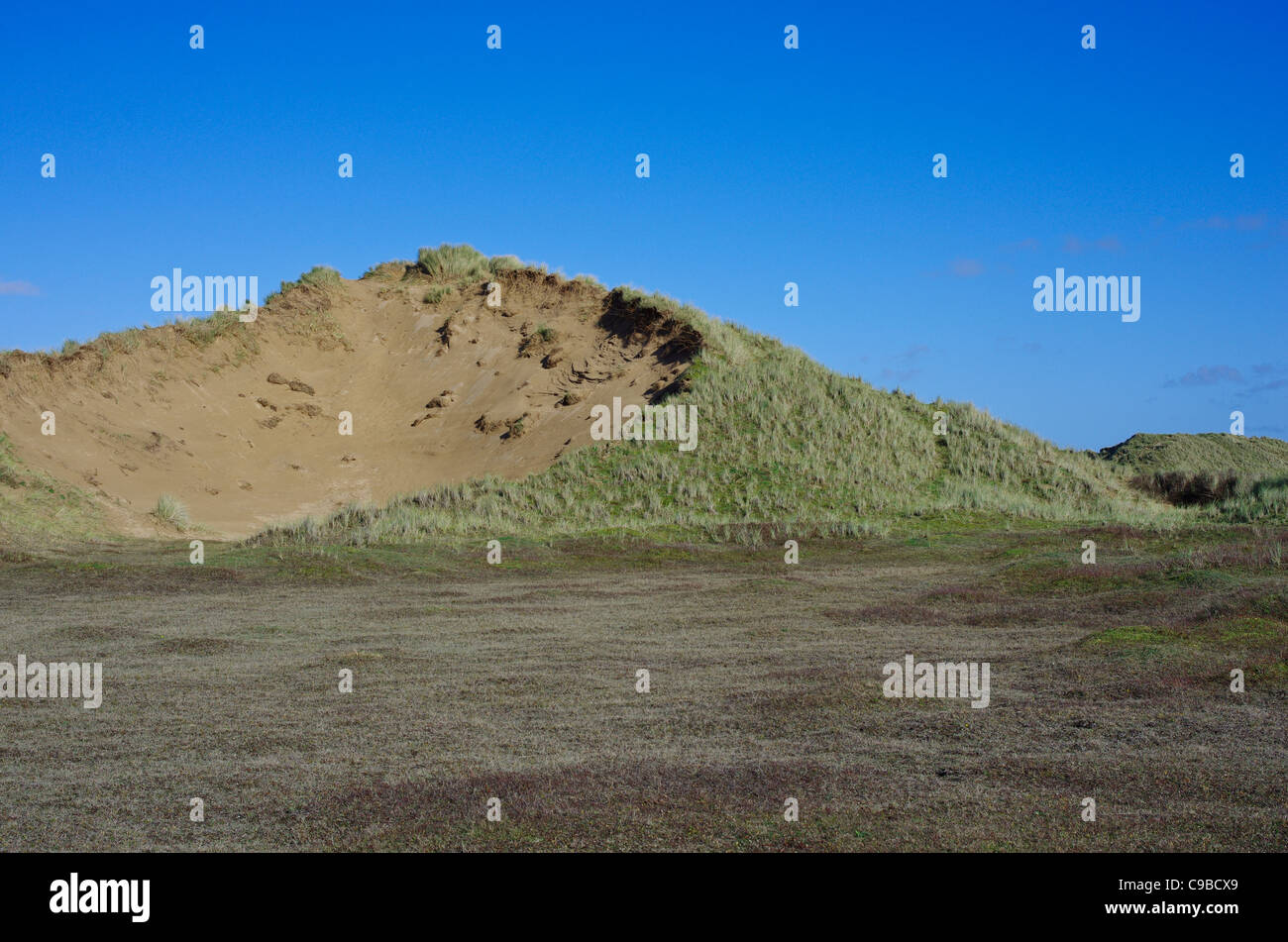 Dune system hi-res stock photography and images - Alamy