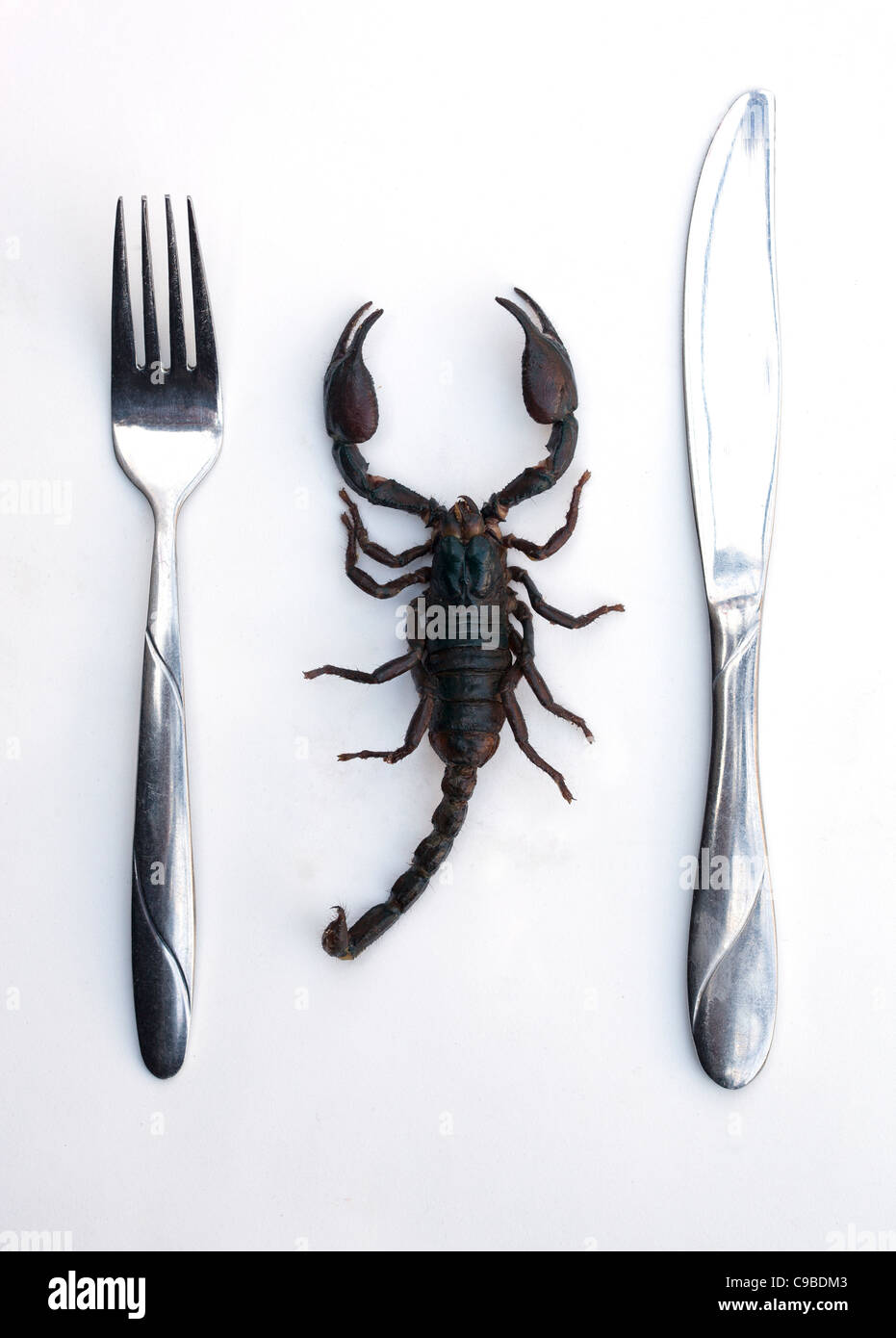 Cooked Scorpion as sold at Wangfujing Street Food Night Market Beijing ...