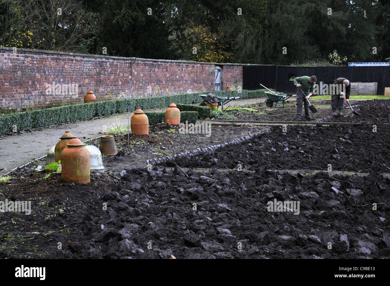Digging and breaking up soil for planting Stock Photo - Alamy