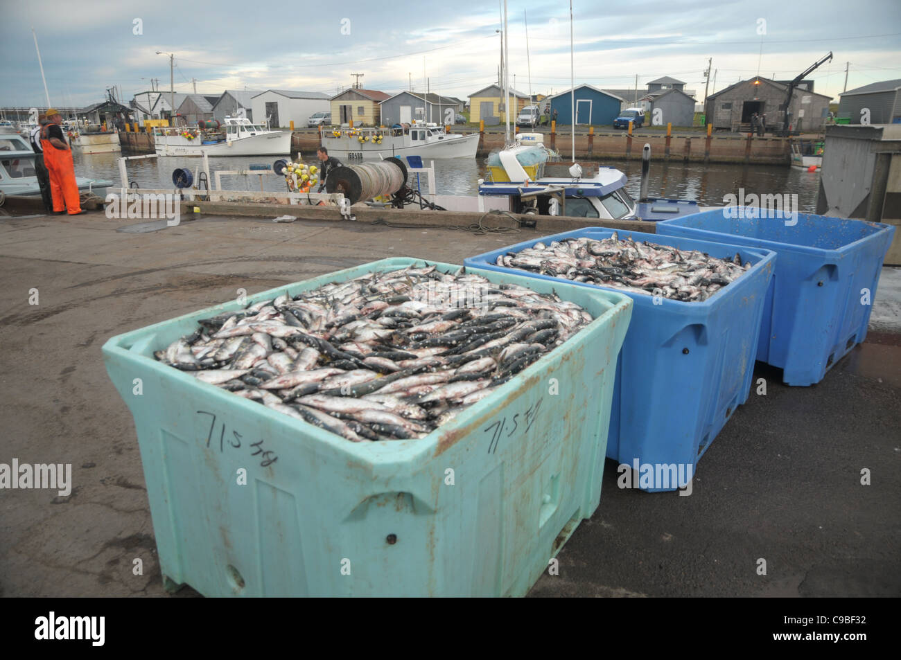 Couple ice fishing hi-res stock photography and images - Alamy