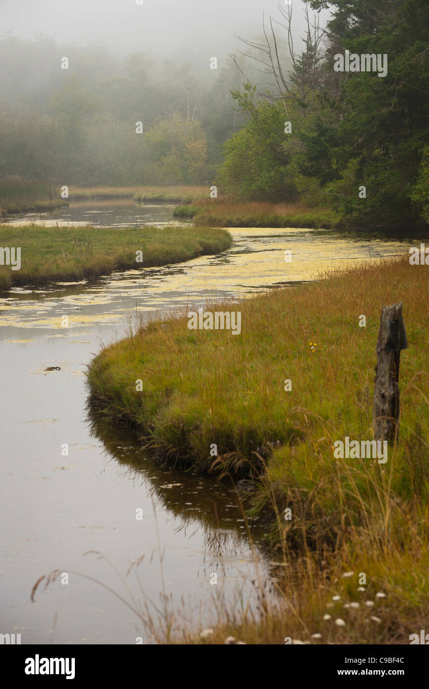 A beautiful and wild wetland area called a slough meanders through ...