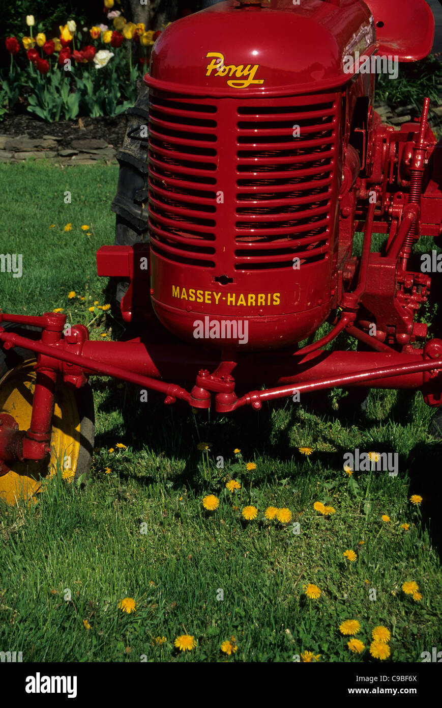 Massey Harris Pony, red abstract vintage tractor, spring flowers, New ...