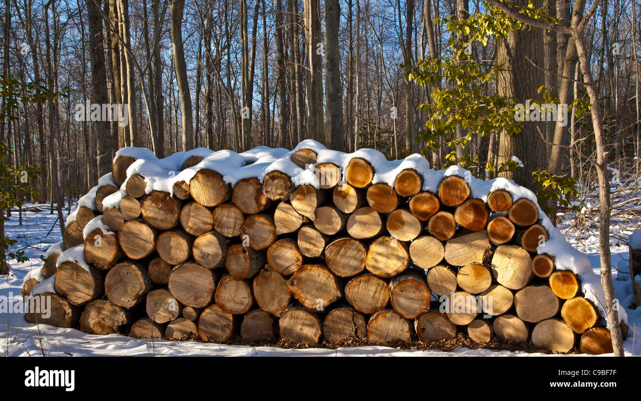 stacked seasoned firewood logs close up with Christmas scene garden ...