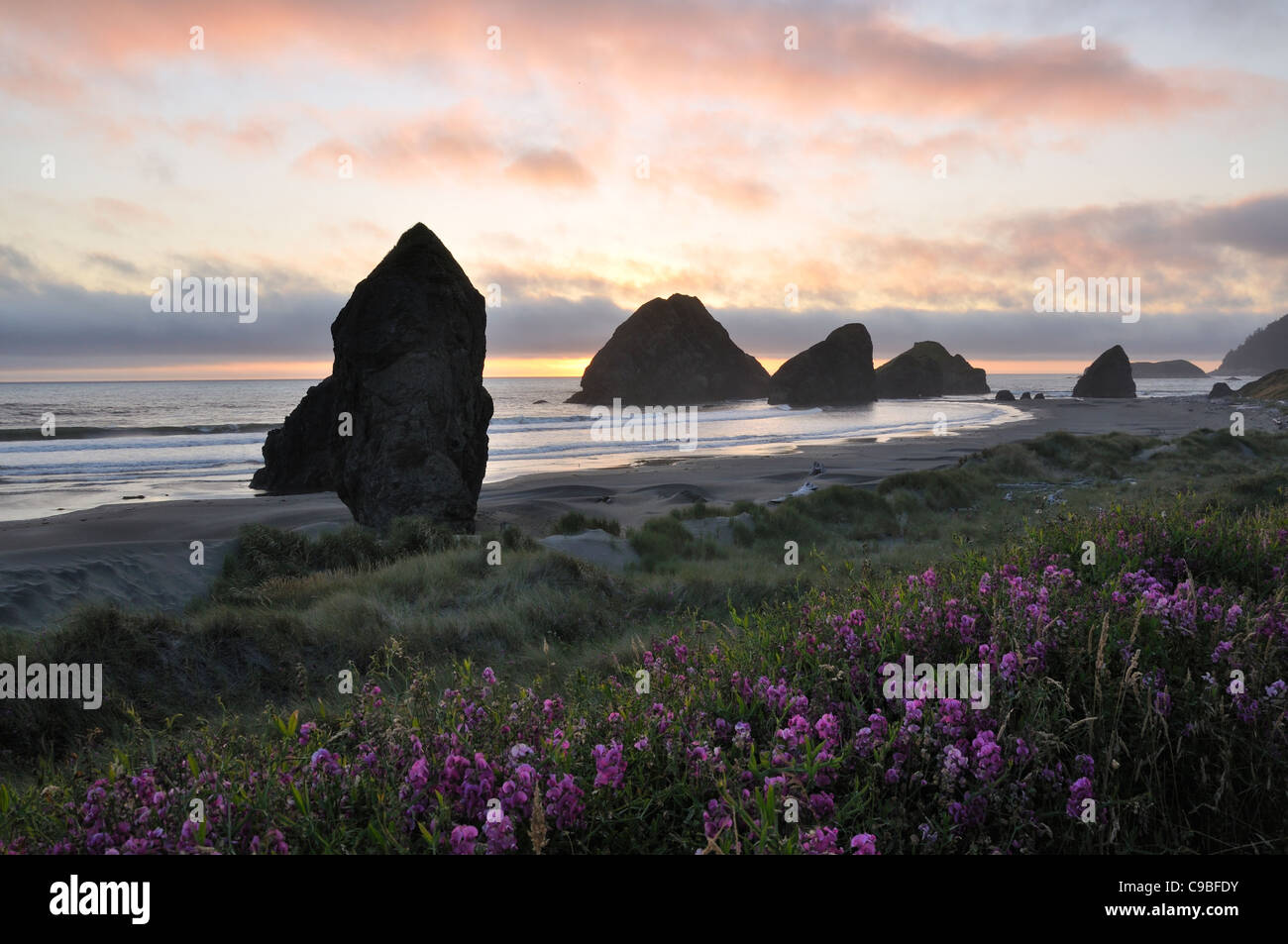 Oregon coast sunset sea stacks hi-res stock photography and images - Alamy