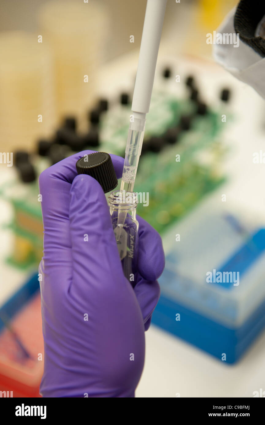 Scientist conducting research in a food lab using a test tube Stock ...