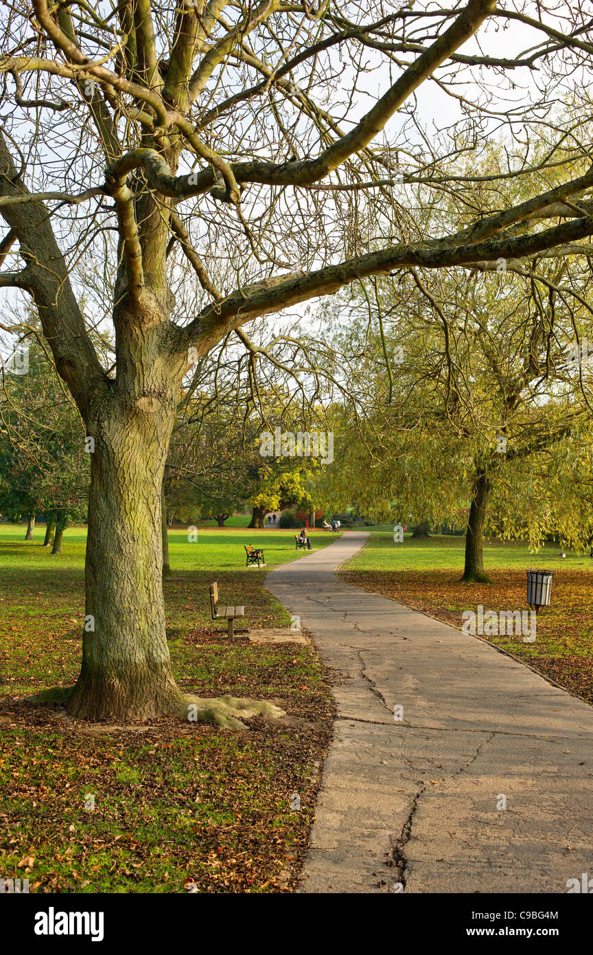 A path running through Lake Meadows in Billericay Stock Photo - Alamy