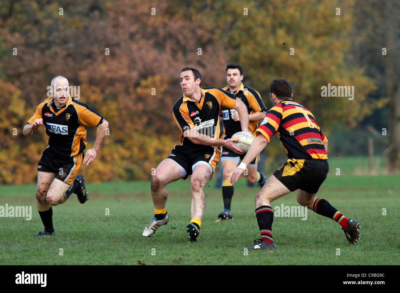 amateur rugby player about to pass the ball Stock Photo - Alamy