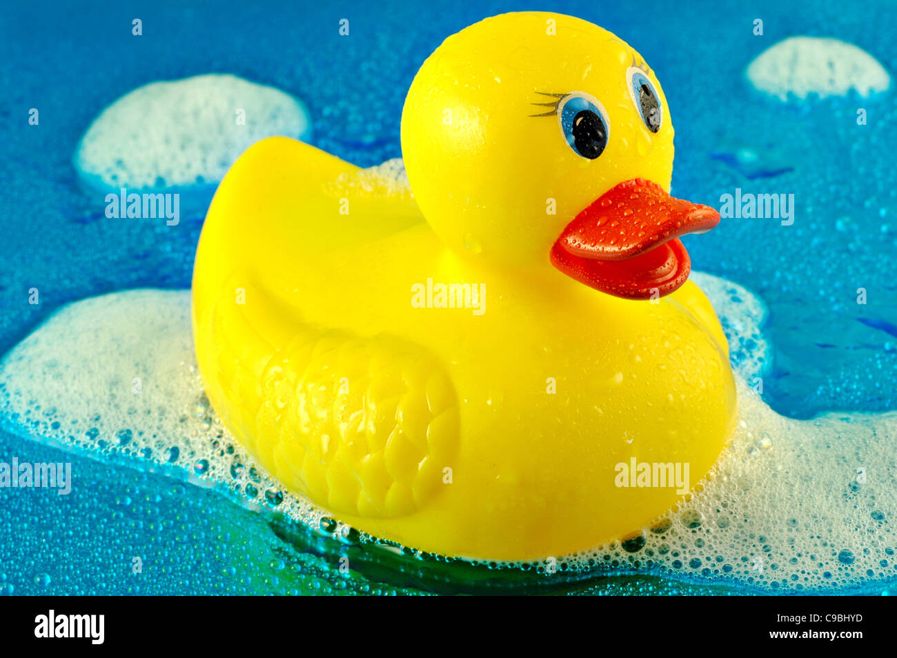 Shiny duck hi-res stock photography and images - Alamy
