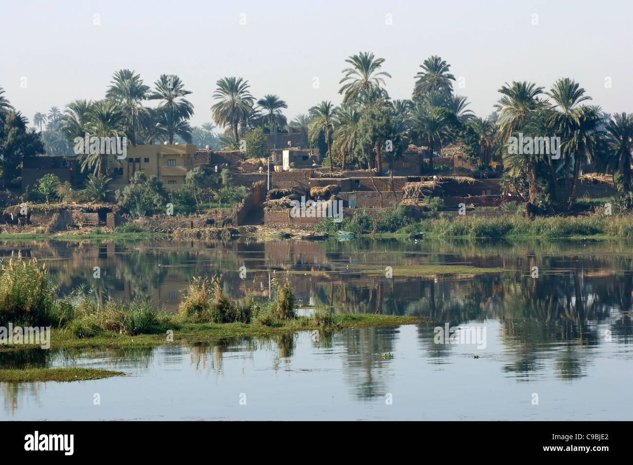 waterside scenery at River Nile in Egypt (Africa Stock Photo - Alamy